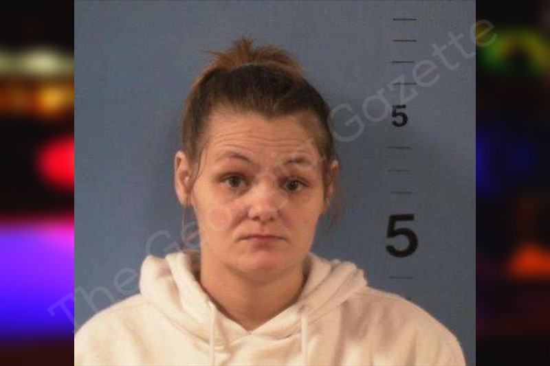 Bridget Holt — Monroe County Jail Bookings