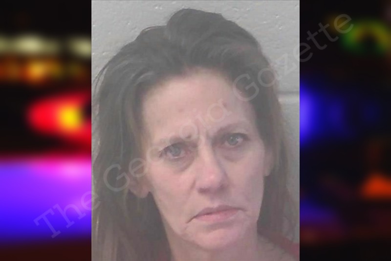 Teresa Hunt — Newton County Jail Bookings