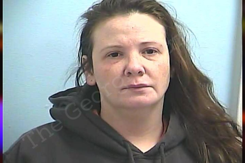 Heather Harmon — Dawson County Jail Bookings
