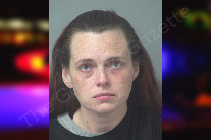 Carlene Ingram — Gwinnett County Jail Bookings