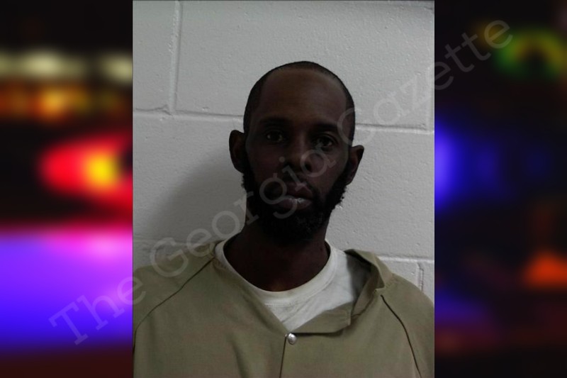 Michael Jenkins — Decatur County Jail Bookings