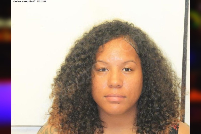 Alyssa Johnson — Chatham County Jail Bookings