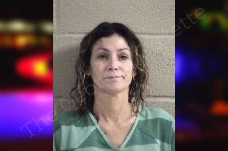 Megan King — Whitfield County