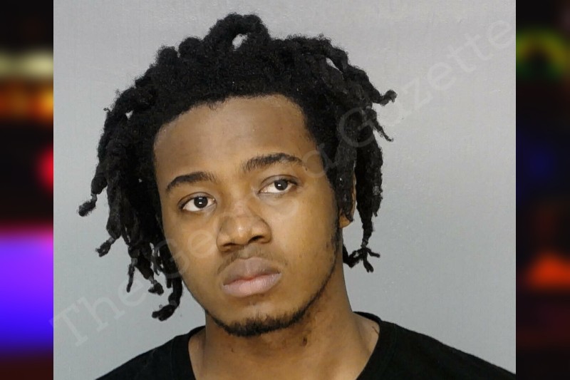 Knowledge Smith — Bibb County Jail Bookings