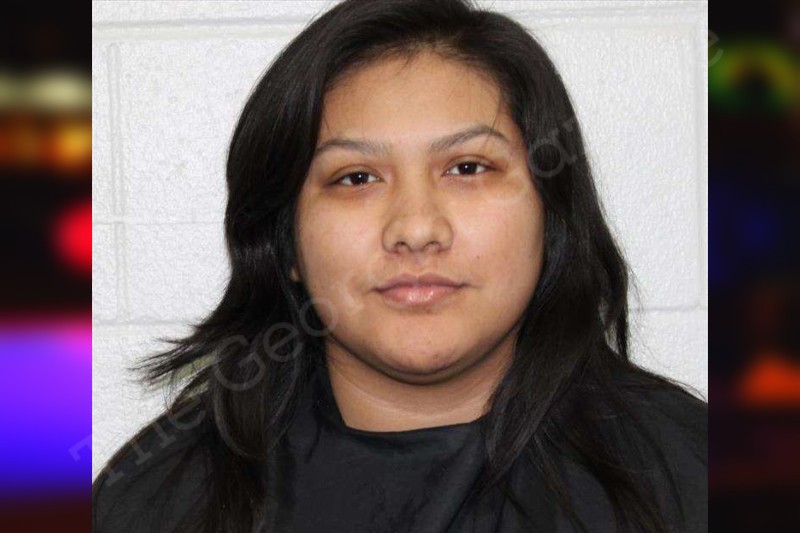 Luz Lara — Habersham County Jail Bookings