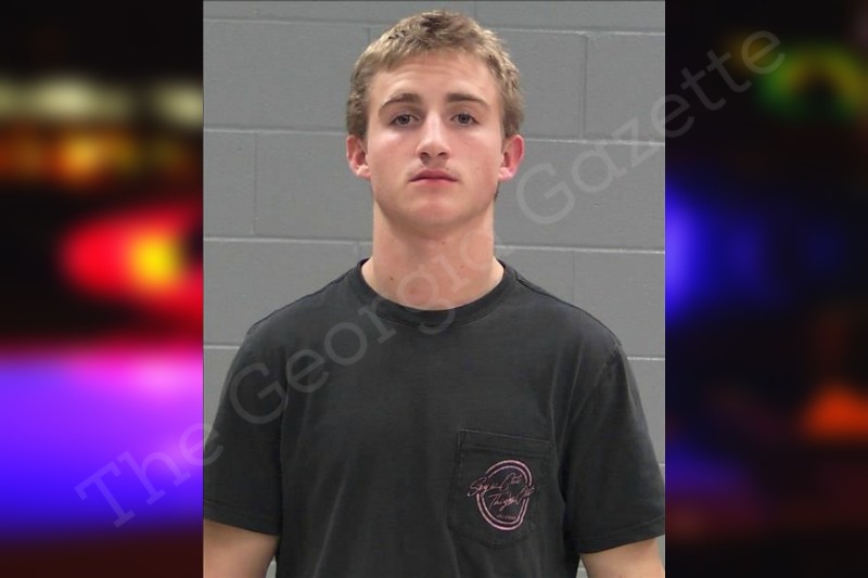 Tanner Larkin — Baldwin County Jail Bookings