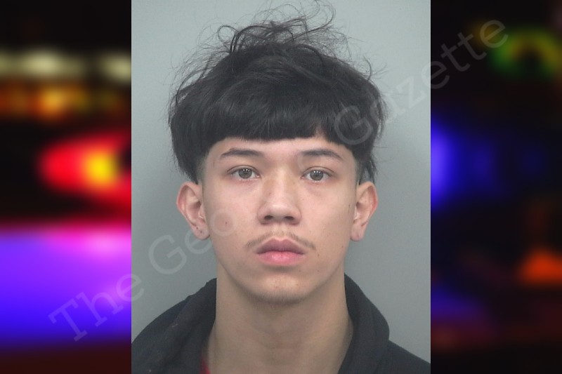 Timmy Le — Gwinnett County Jail Bookings