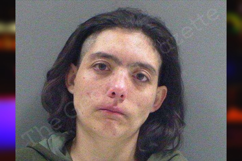 Martha Ledford — Rabun County Jail Bookings