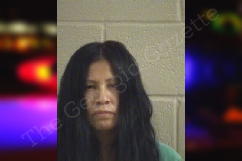 Juana Lopez — Whitfield County Jail Bookings