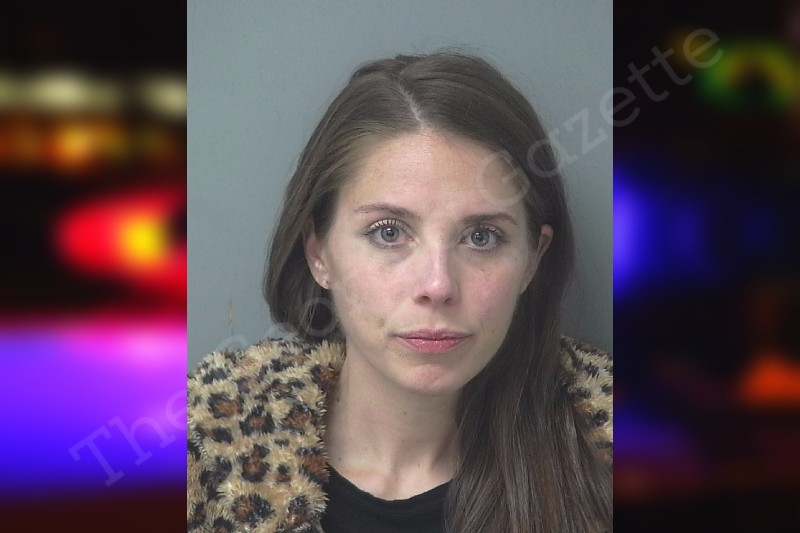 Haley Lowman — Gwinnett County Jail Bookings