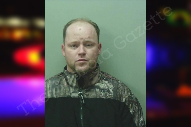 Randy Ledford — Towns County Jail Bookings