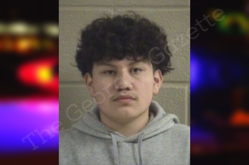 Brian Madrigal — Whitfield County Jail Bookings