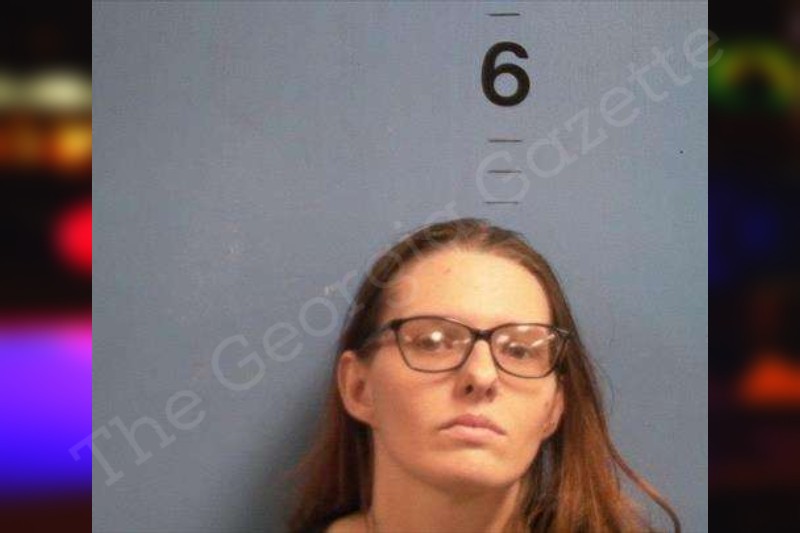 Virginia Manning — Monroe County Jail Bookings