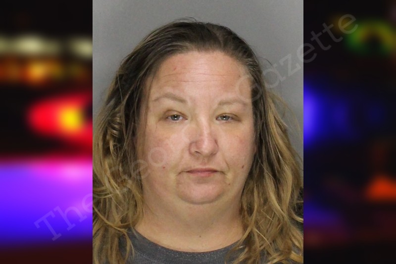 Sarah Mills — Cobb County Jail Bookings