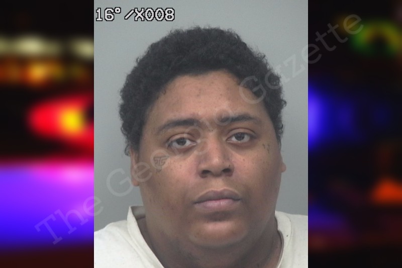 Rodney Mitchell — Gwinnett County Jail Bookings