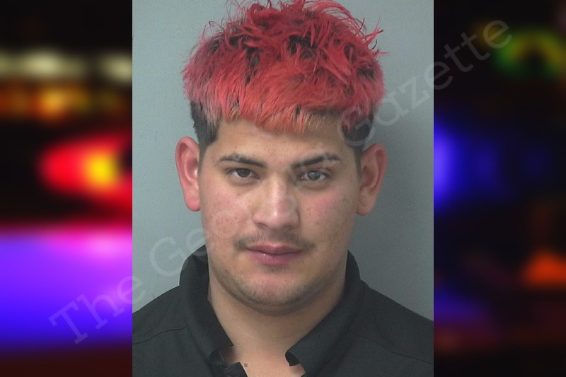 Brayan Morales-Raudales — Gwinnett County Jail Bookings