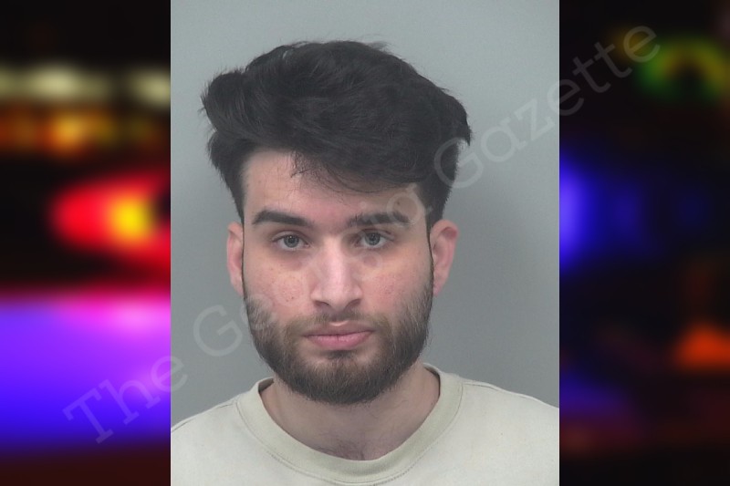 Eldin Mujic — Gwinnett County