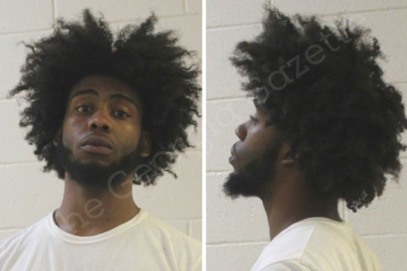 Devin Mann — Houston County Jail Bookings