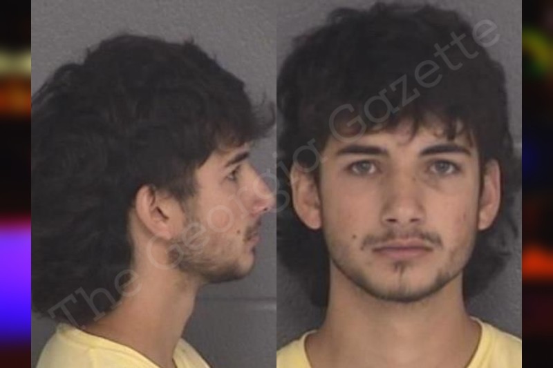 Chance Martin — Barrow County Jail Bookings