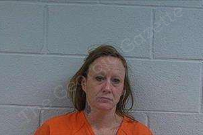 Julie McCay Polk County Julie McCay Polk County