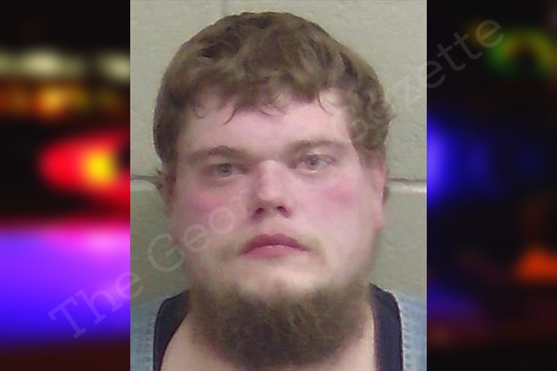 Matthew McKenzie — Wayne County Jail Bookings