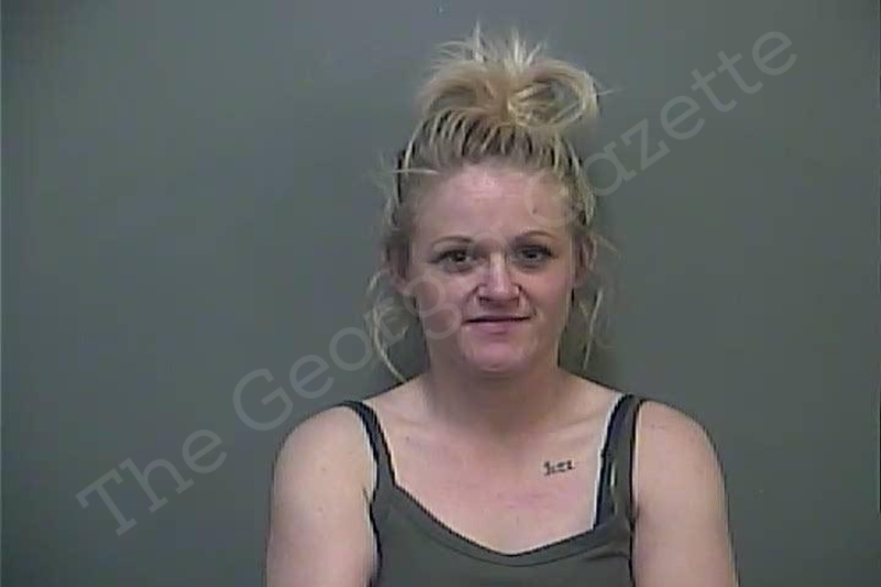 Brittany Motes — White County Jail Bookings