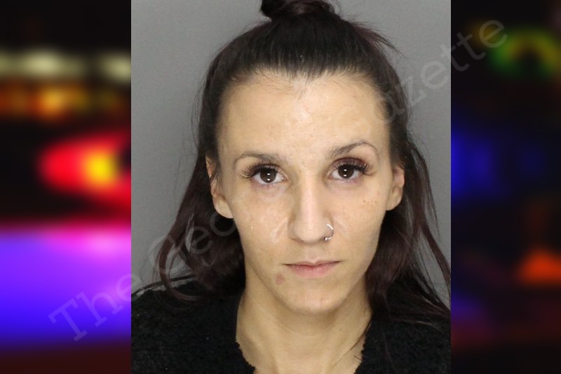 Rebecca Nigro — Cobb County Jail Bookings