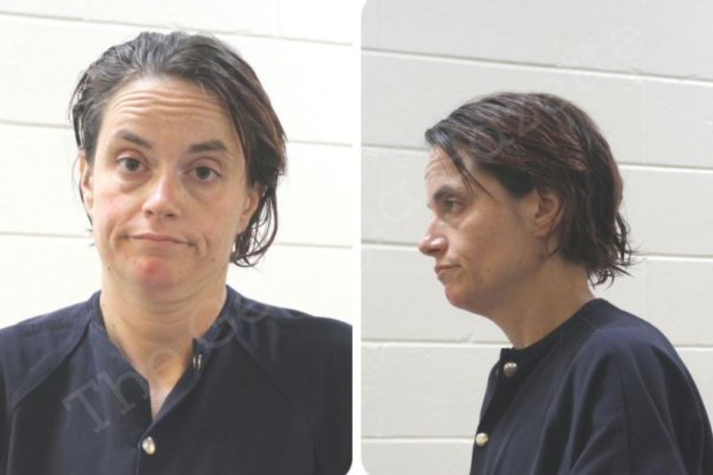 Warner Robins woman climbs into ceiling at Kohl’s store searching for ...