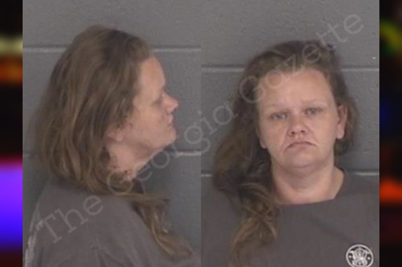 April O’Conner — Barrow County Jail Bookings