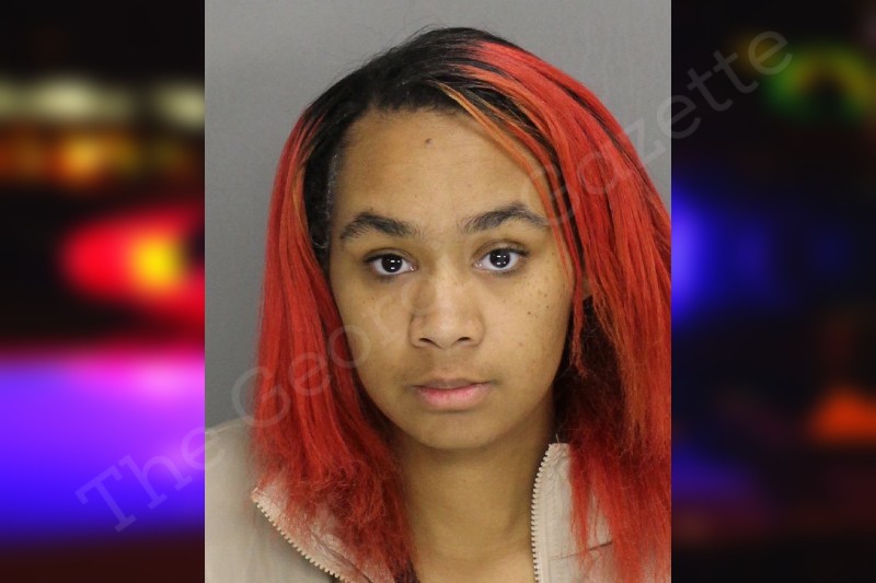 Delanie Palmore — Cobb County Jail Bookings