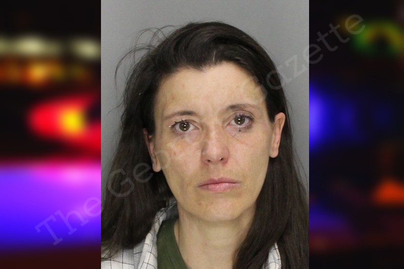 Kendra Phillips — Cobb County Jail Bookings