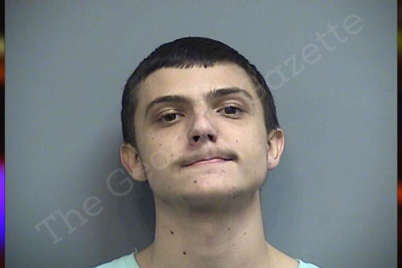 Cameron Padgett — Effingham County Jail Bookings Cameron Padgett — Effingham County Jail Bookings