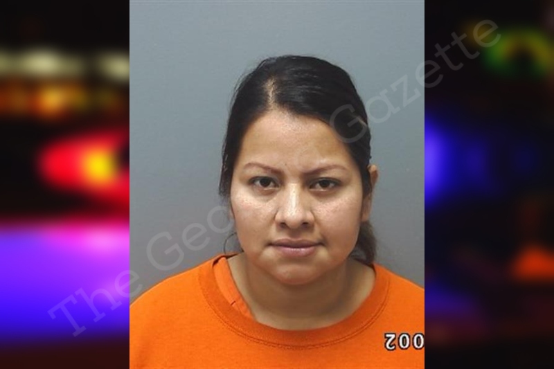 Edilma Perez Ramirez — Cherokee County Jail Bookings