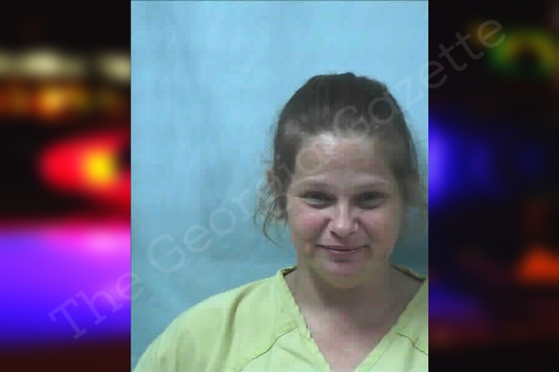 Heather Pollock — Seminole County Jail Bookings