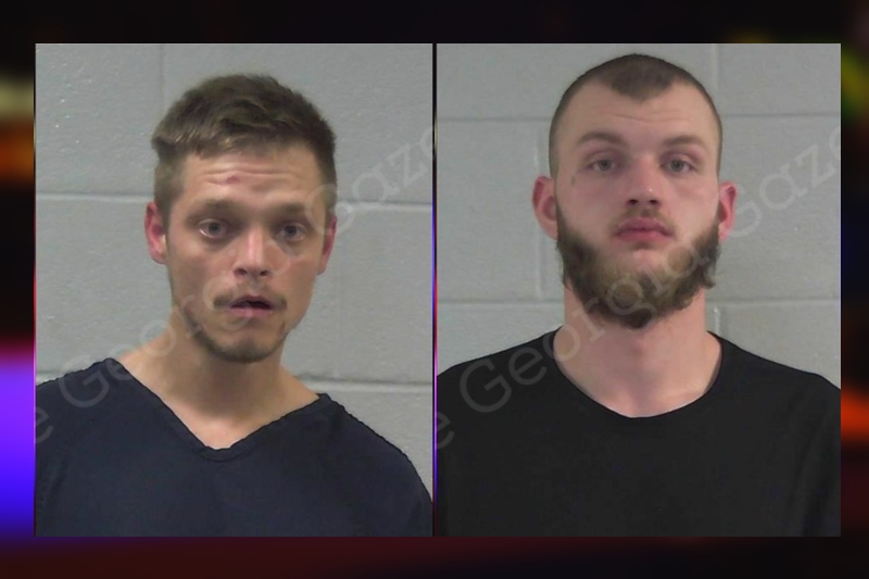 Two Ellijay men charged with home invasion, assault for violently ...