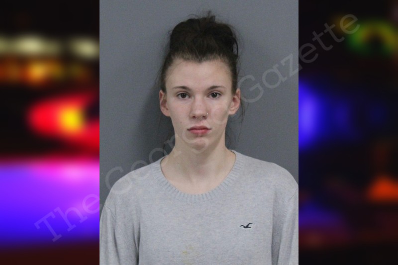 Andrea Ramey — Catoosa County Jail Bookings