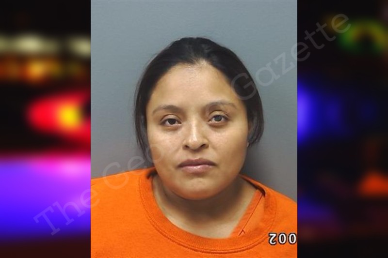 Irene Ramirez-Puac — Cherokee County Jail Bookings