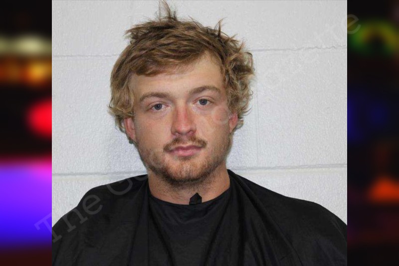 Austin Reed | Habersham County