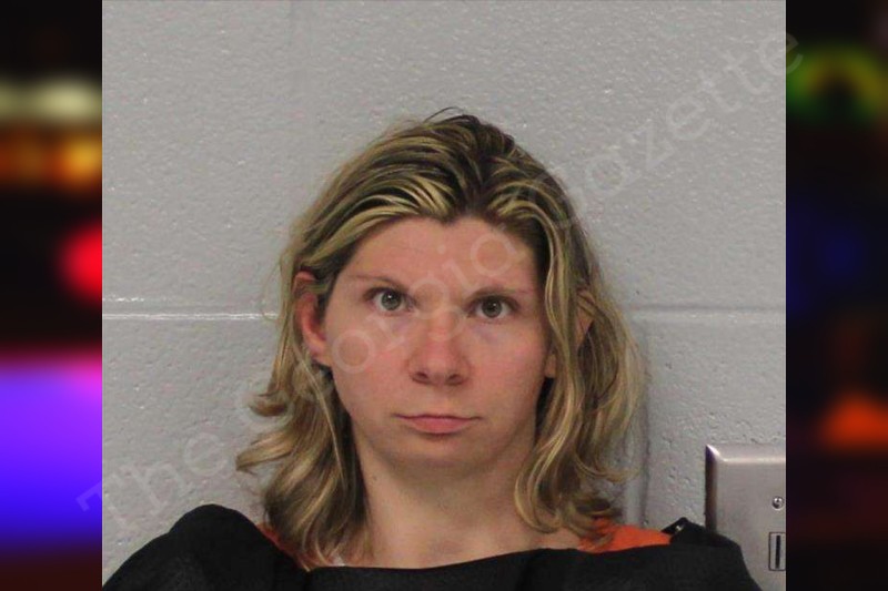 Kelli Ring — Carroll County Jail Bookings