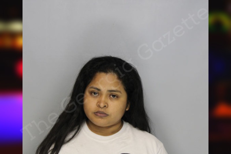 Nilsa Rodriguez — Hall County Jail Bookings