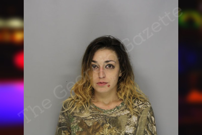 Rebecca Russo — Hall County Jail Bookings
