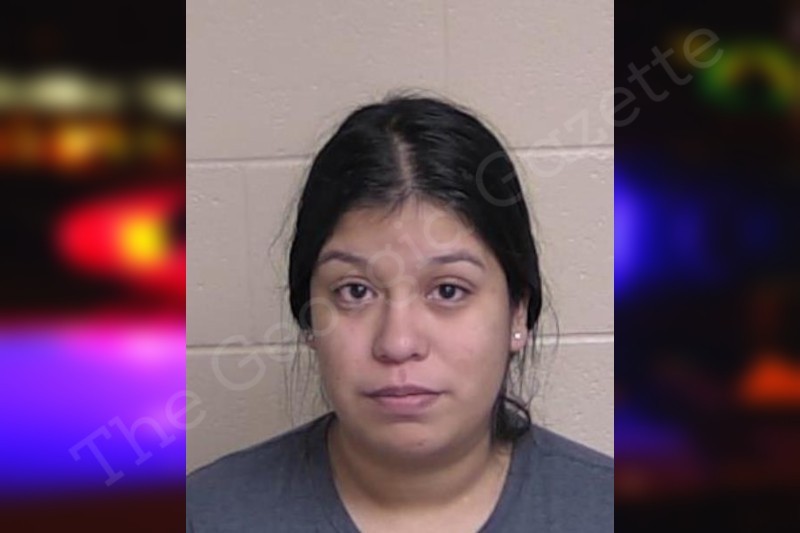 Julisa Ramos — Walker County Jail Bookings