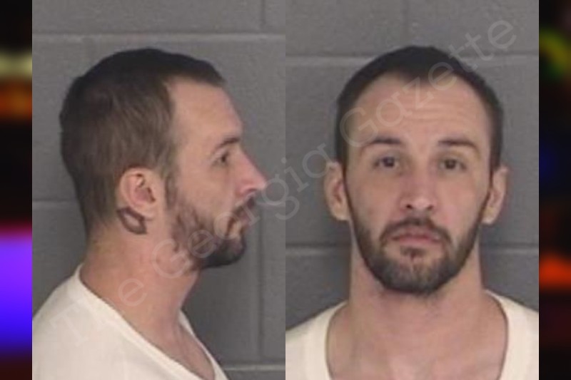 Alex Robinson — Barrow County Jail Bookings