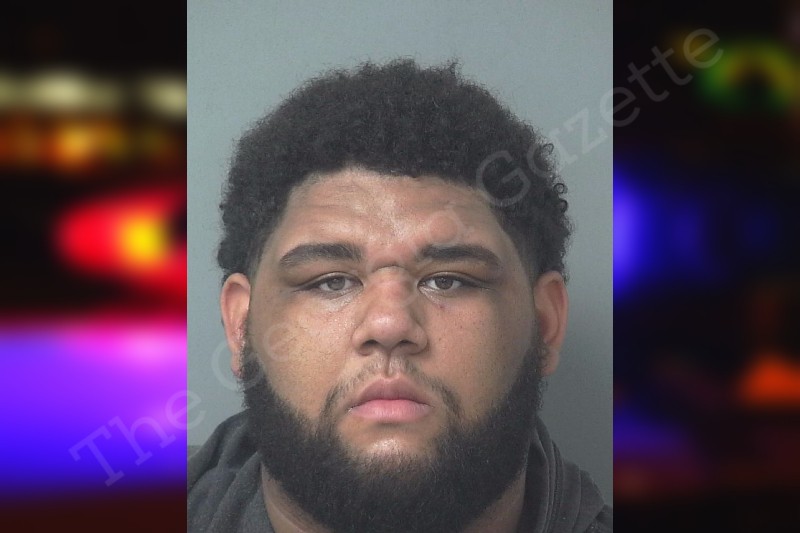 Steven Samuel-Feliz — Gwinnett County Jail Bookings