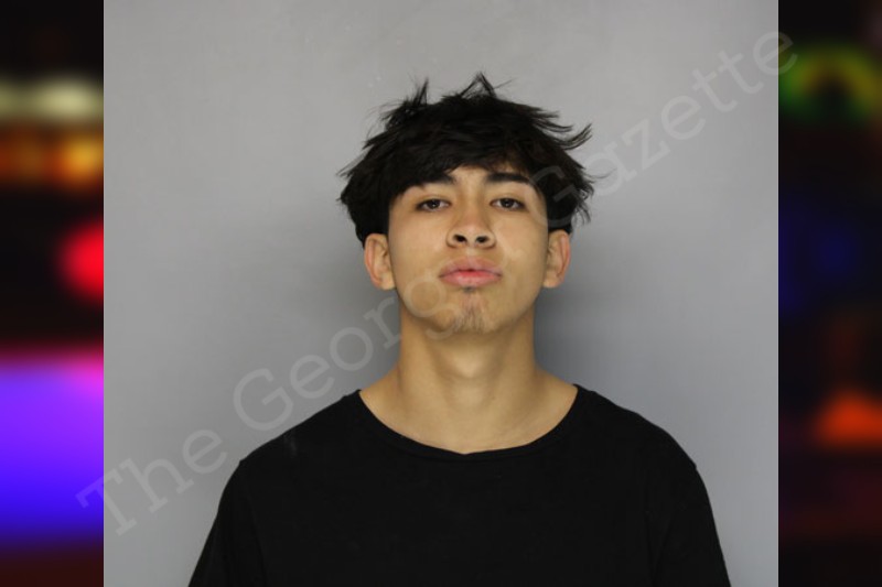 Michael Serrato-Macedo — Hall County Jail Bookings