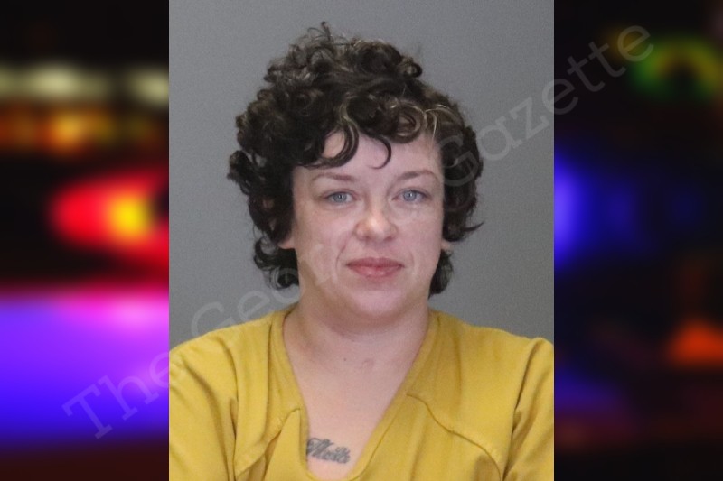 Amanda Shipp — Muscogee County Jail Bookings