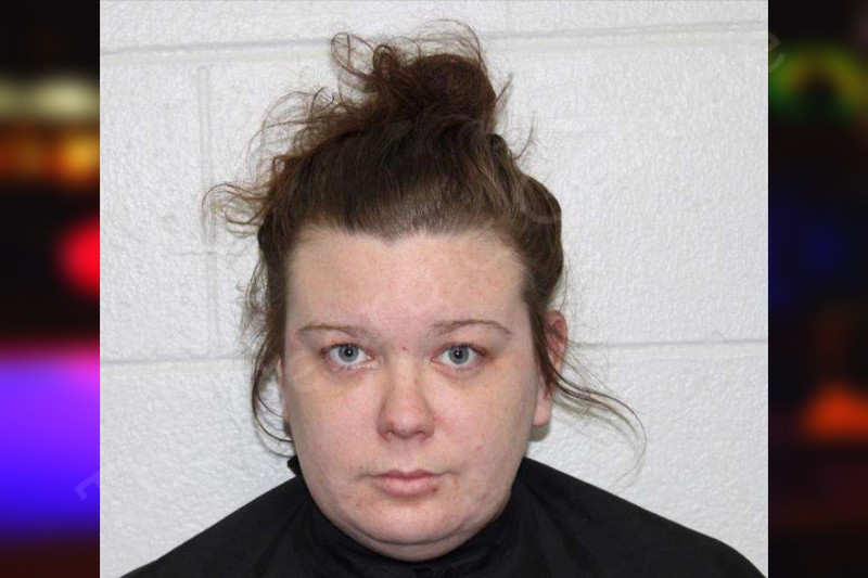 Krista Springer — Habersham County Jail Bookings
