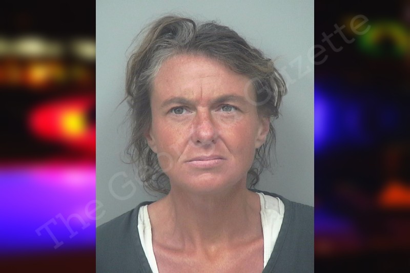 Terri Springer — Gwinnett County Jail Bookings