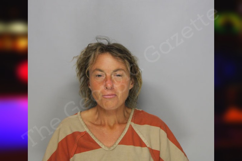 Terri Springer — Hall County Jail Bookings