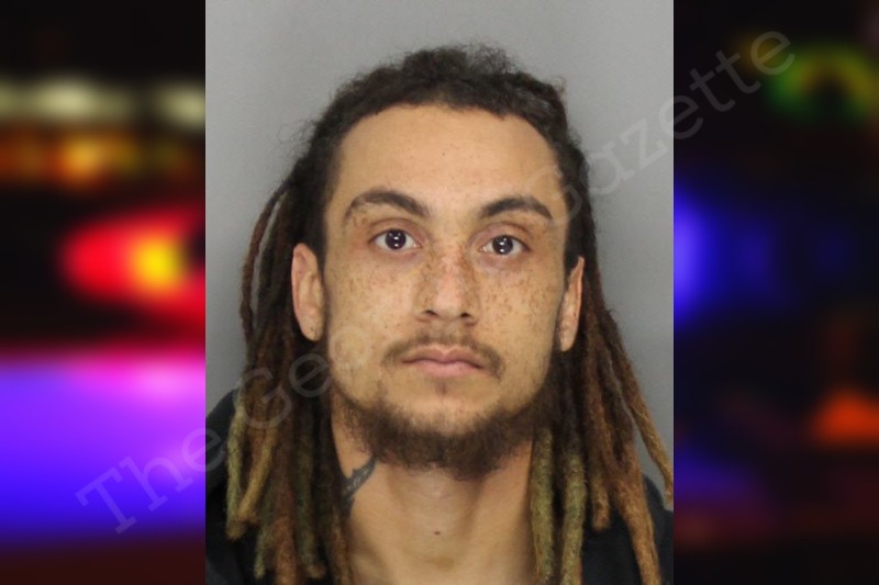 Brandon Stanton — Cobb County Jail Bookings